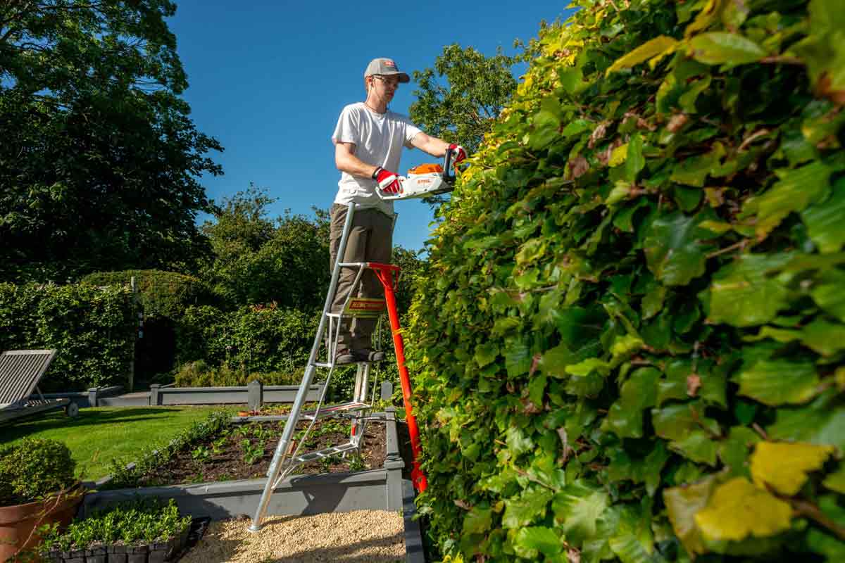 What Are the Best Ladders for Gardening Work? | Ladders4Sale