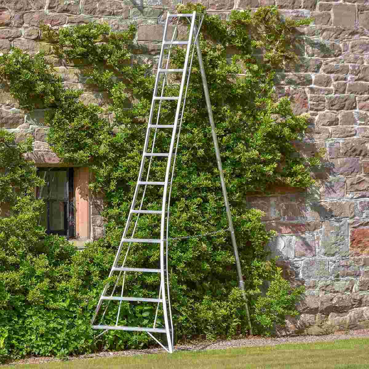 Hendon Standard Tripod Ladder | Ladders4sale